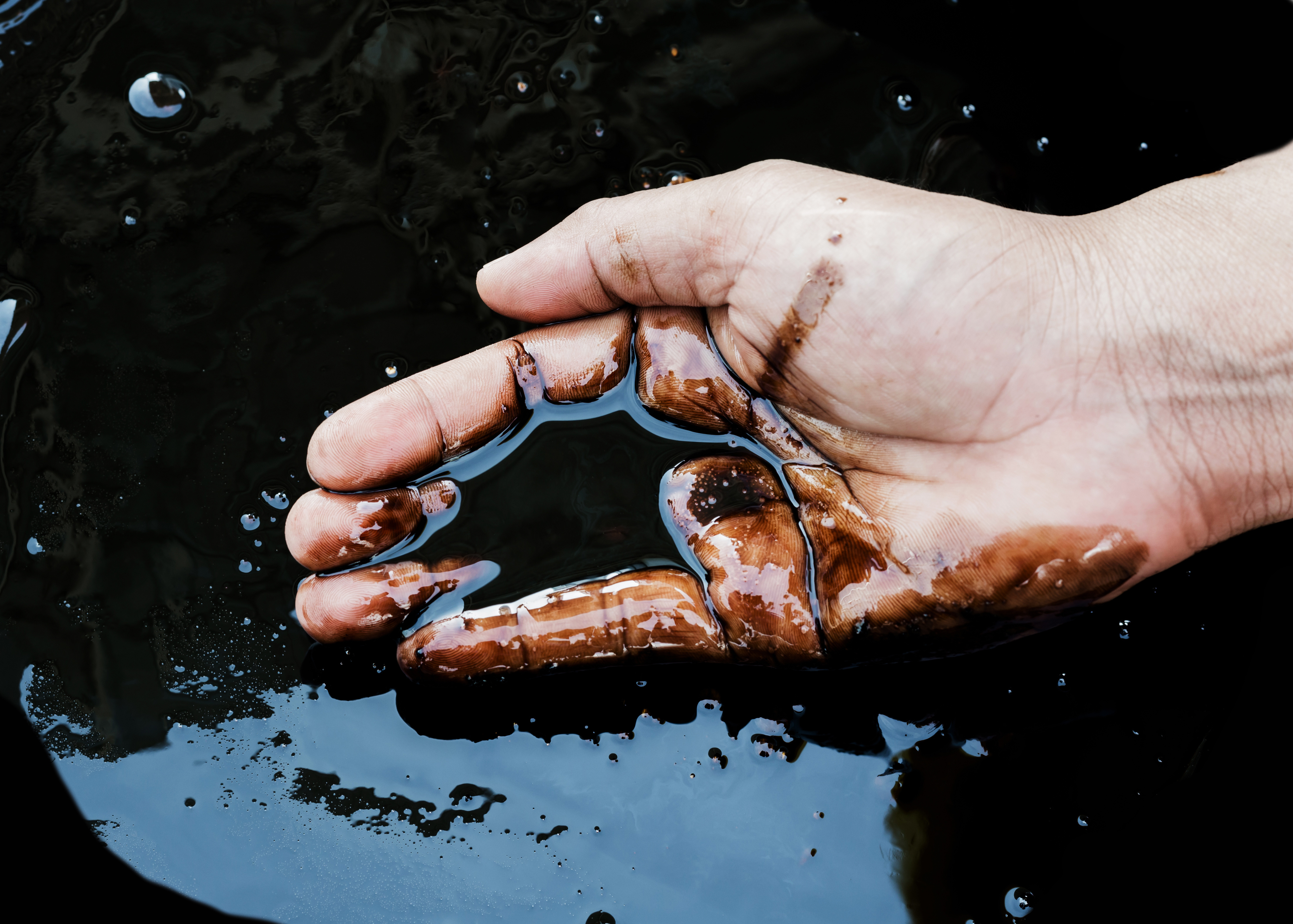 How Did the Galapagos Oil Spill Happen? | PeopleHype