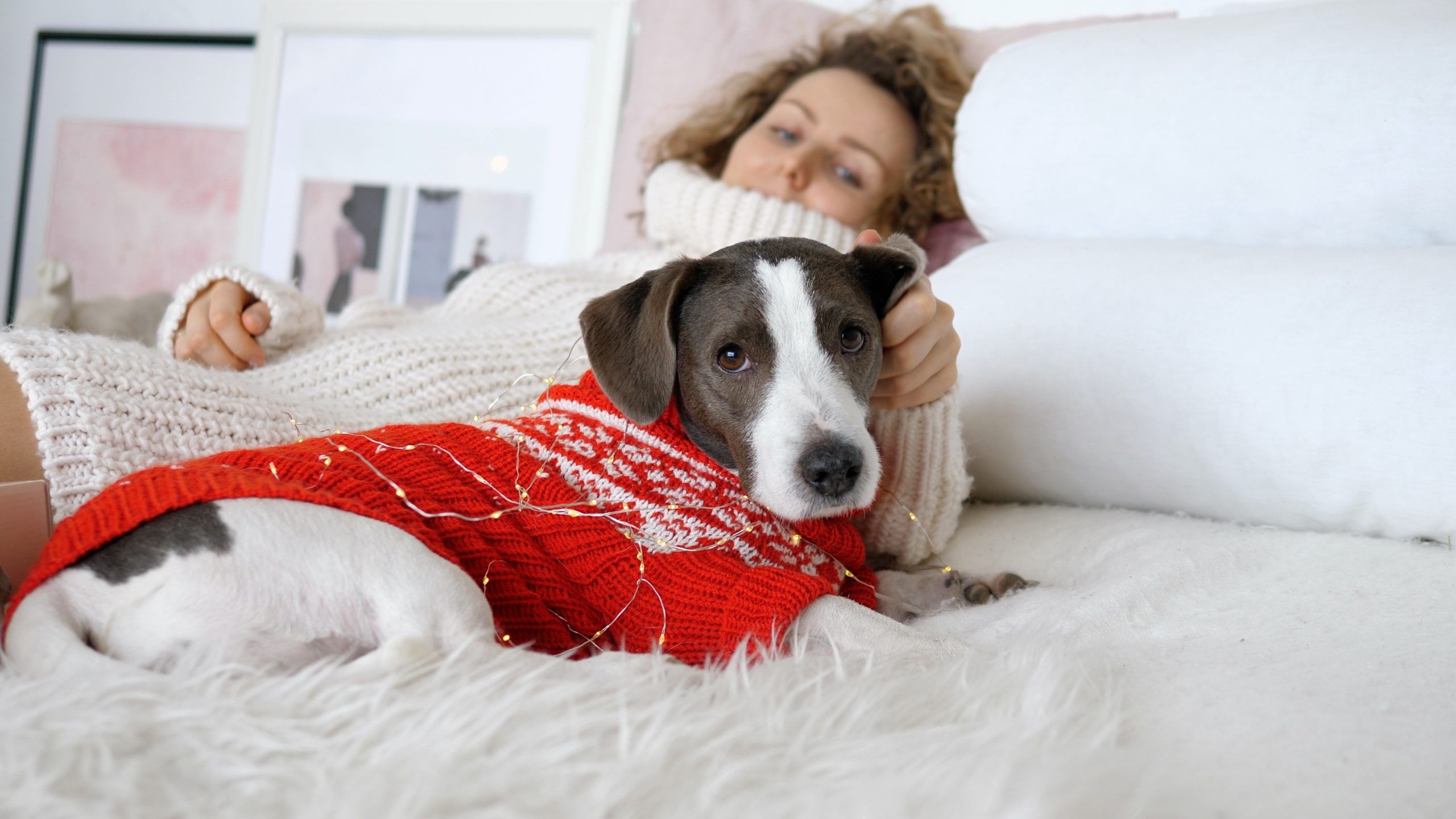 5 Ideas for Spending Quality Time With Your Pets | PeopleHype